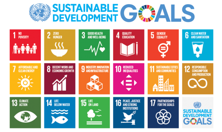 सतत् विकास लक्ष्यों (SDG) को प्राप्त करने में भारत की प्रगति एवं ...