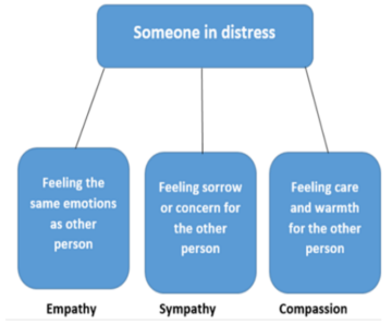 Apart From Intellectual Competence And Moral Qualities, Empathy And ...
