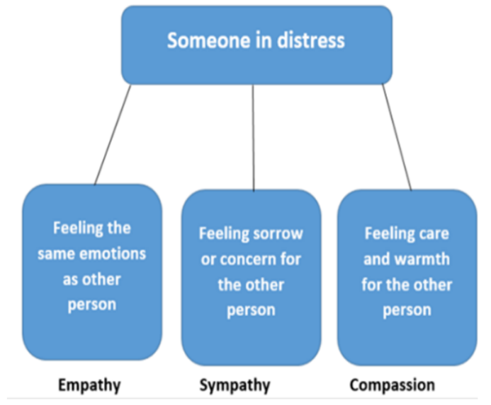 Apart From Intellectual Competence And Moral Qualities, Empathy And ...