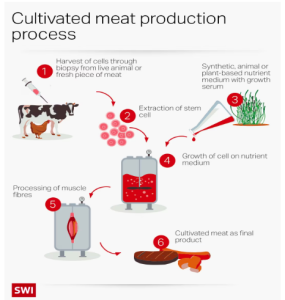 Lab-Grown Meat - PWOnlyIAS