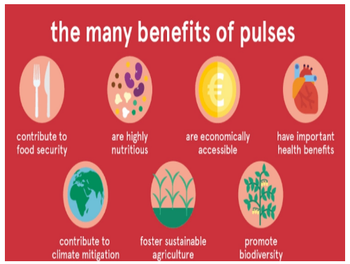 Lentils Production - PWOnlyIAS