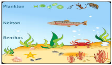 Ocean Resources And Its Potential - PWOnlyIAS