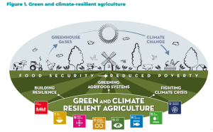 Climate Smart Agriculture (CSA) - PWOnlyIAS