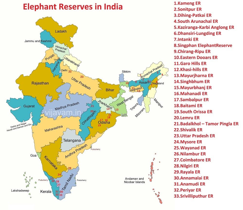 Elephant Reserves In India Updated List 2023: Project Elephant, Haathi ...