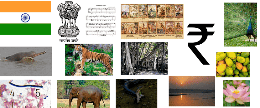 Comprehensive List Of Symbols Of National Importance In India 2023 ...
