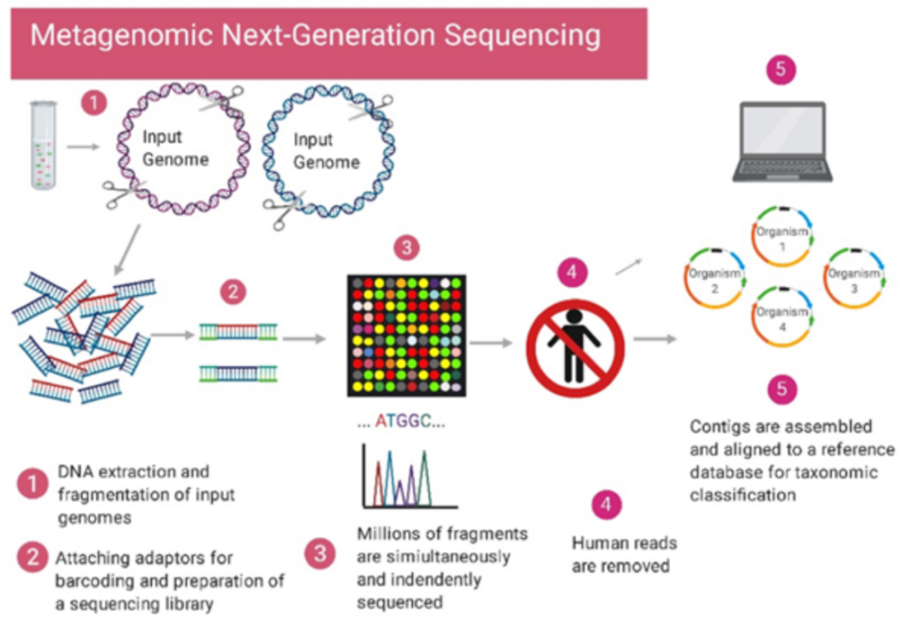 Metagenome Sequencing - PWOnlyIAS