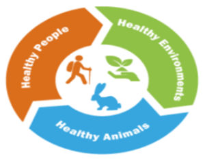 Animal Husbandry: Success And Constraints - PWOnlyIAS
