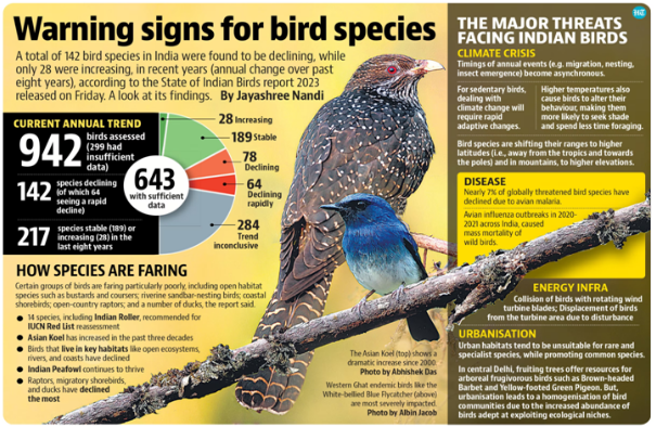 Bird Species Plummeting In India, Says New Report: What Are The Major ...
