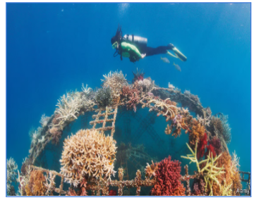 Artificial Reef (AR) | PWOnlyIAS 2023 - PWOnlyIAS