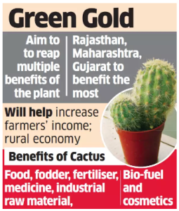 Cactus Plantations - PWOnlyIAS