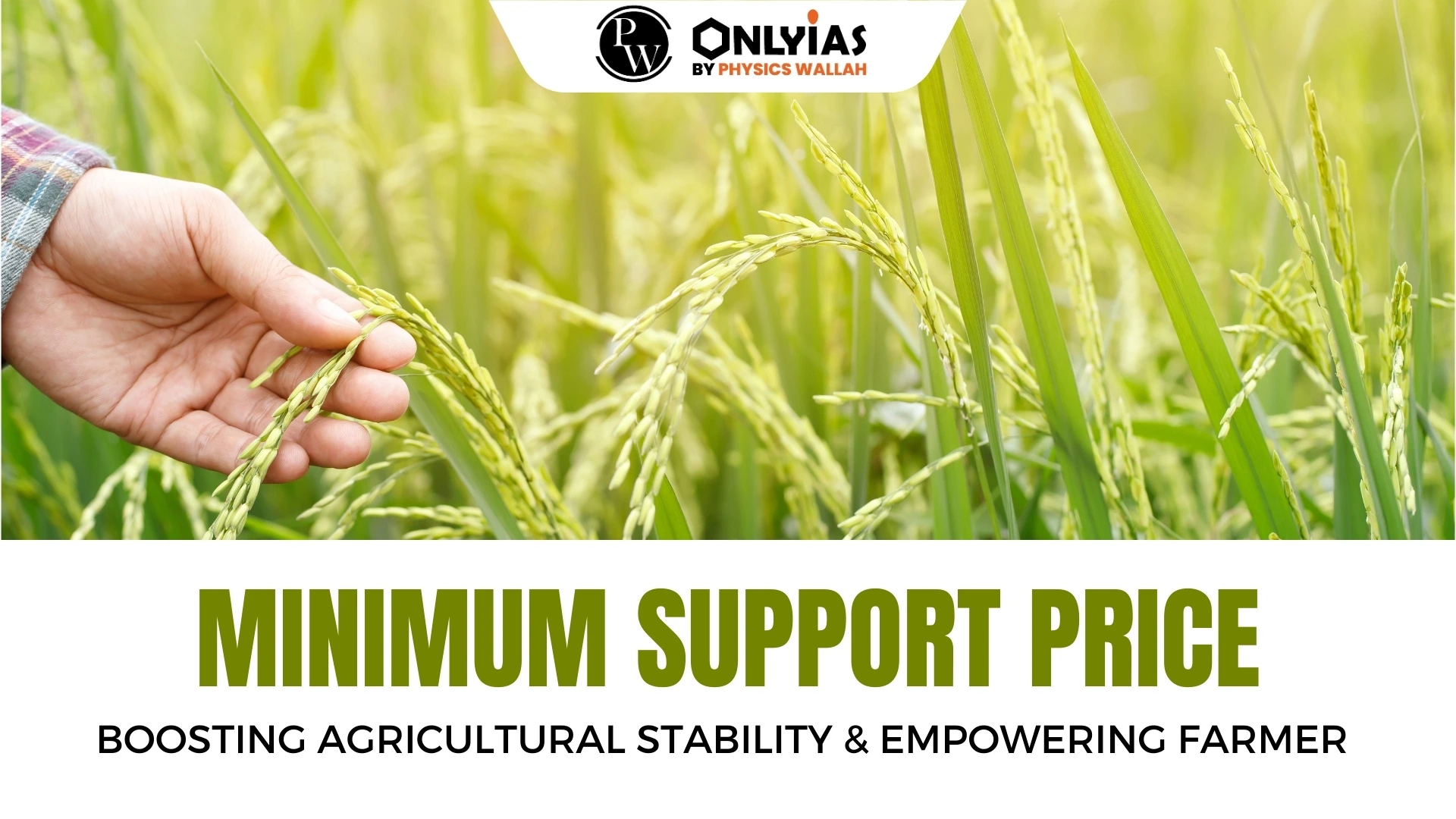 Minimum Support Price For Rabi Crop: Boosting Agricultural Stability ...