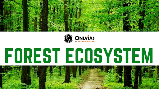 Forest Ecosystem: Biodiversity, Types, & Crucial Roles In Environmental ...
