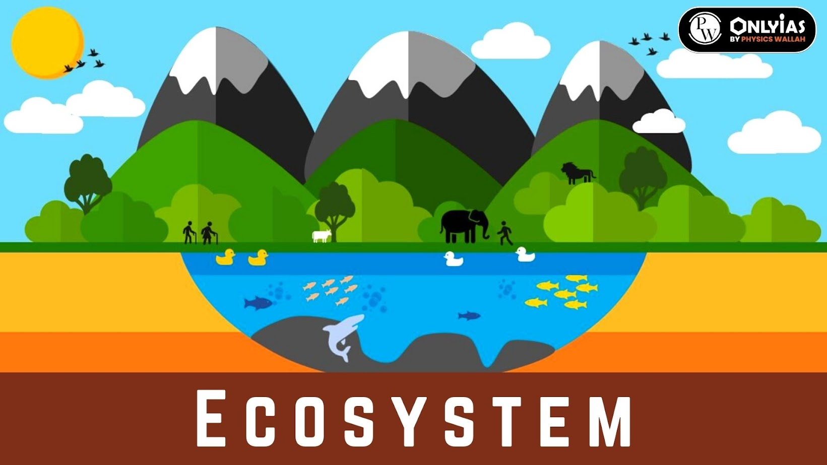 Ecosystem: Components, Functions, Energy Flow & Cycle - PWOnlyIAS
