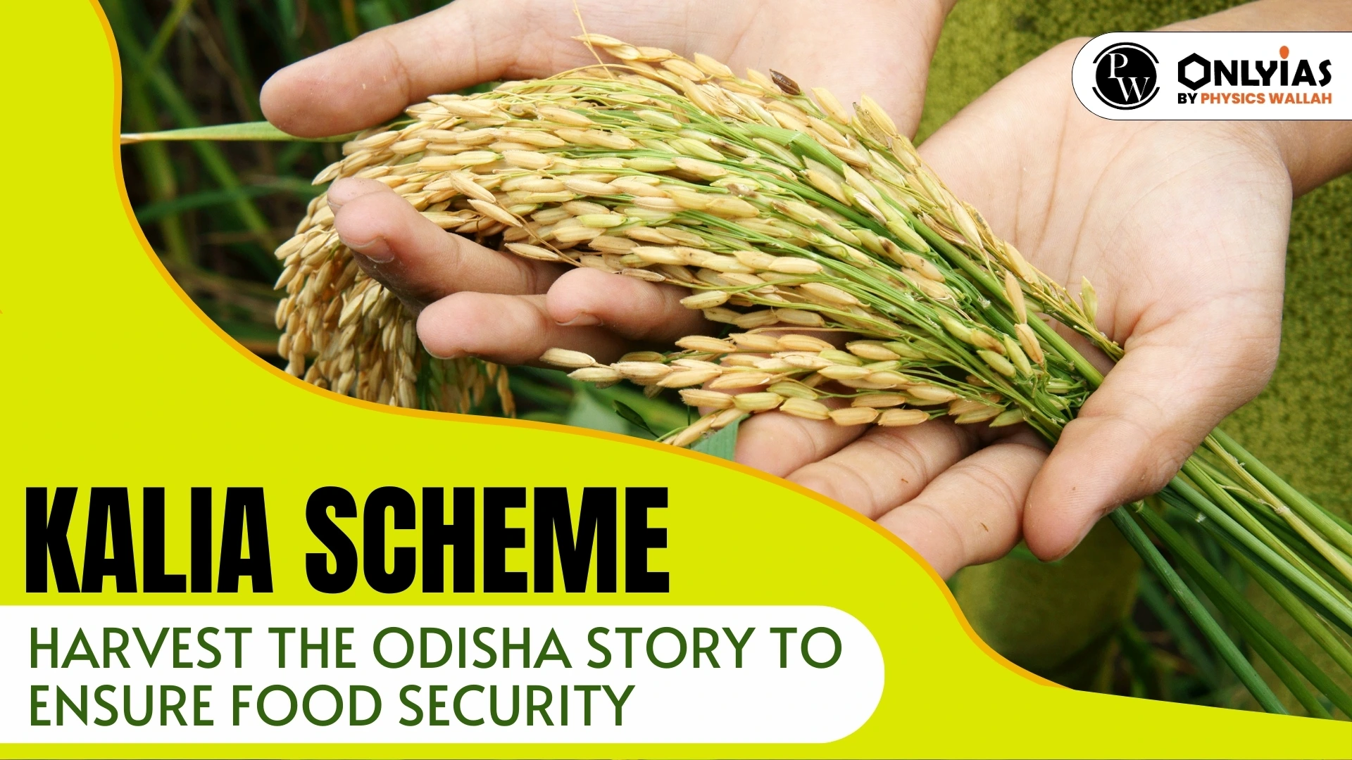 KALIA Scheme: Harvest The Odisha Story To Ensure Food Security - PWOnlyIAS