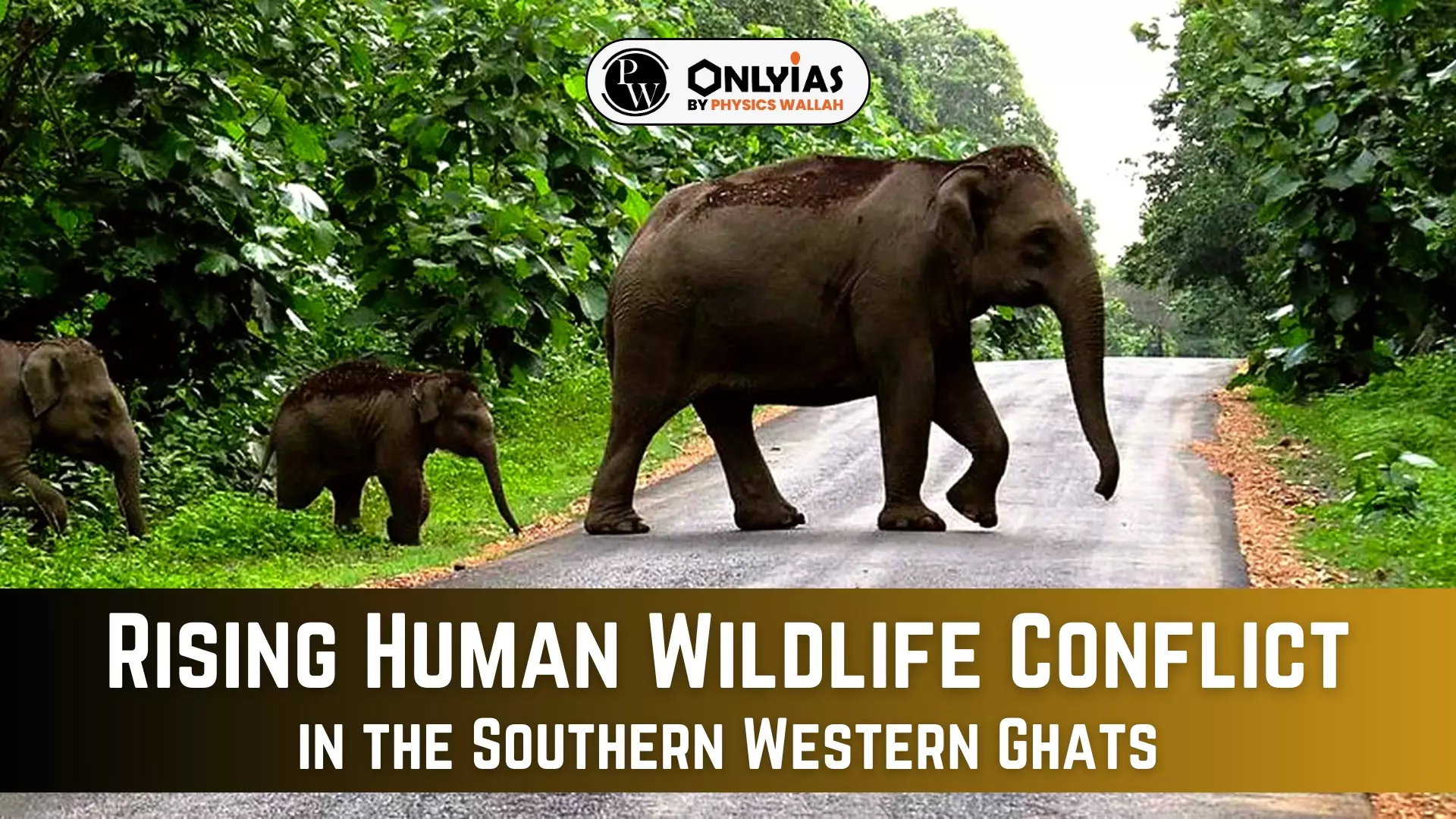 Rising Human Wildlife Conflict In The Southern Western Ghats - PWOnlyIAS