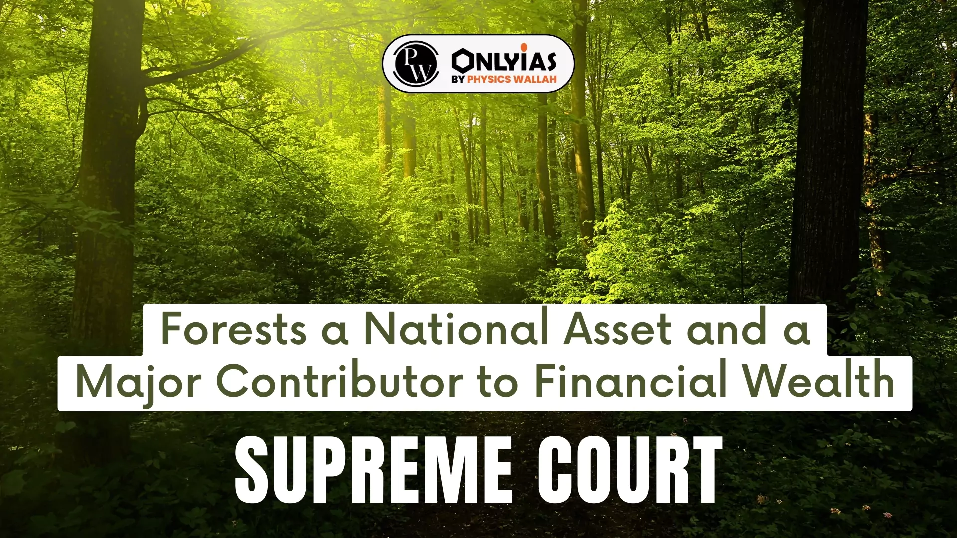 Forests A National Asset And A Major Contributor To Financial Wealth ...