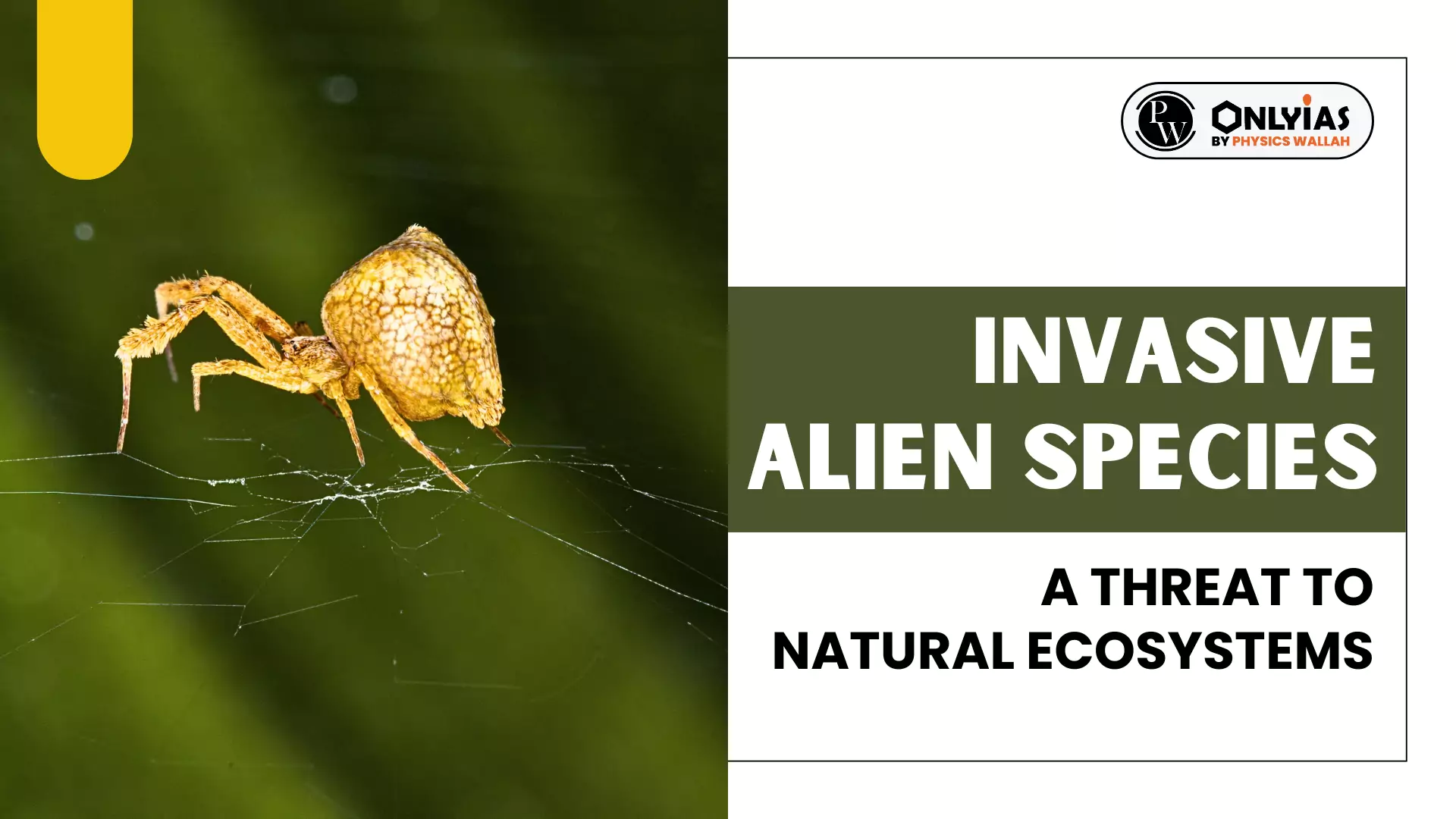 Invasive Alien Species: A Threat To Natural Ecosystems - PWOnlyIAS