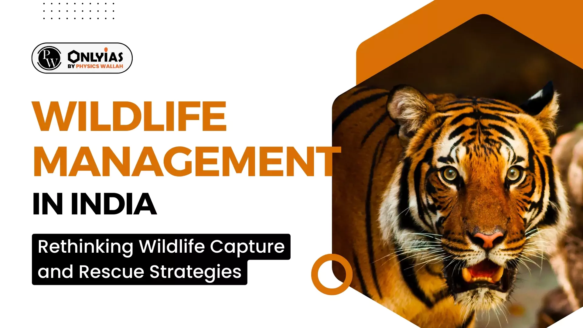 Wildlife Management In India: Rethinking Wildlife Capture And Rescue ...