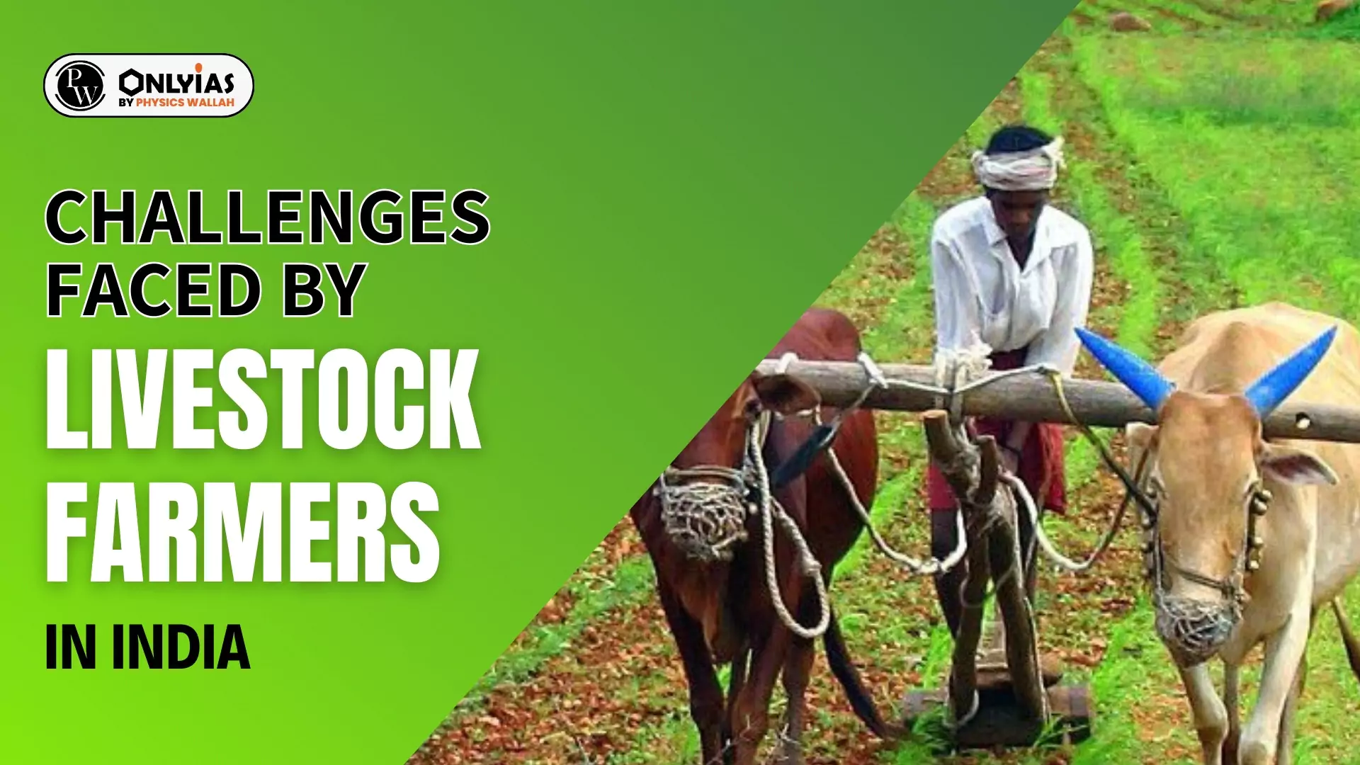 Challenges Faced By Livestock Farmers In India - PWOnlyIAS
