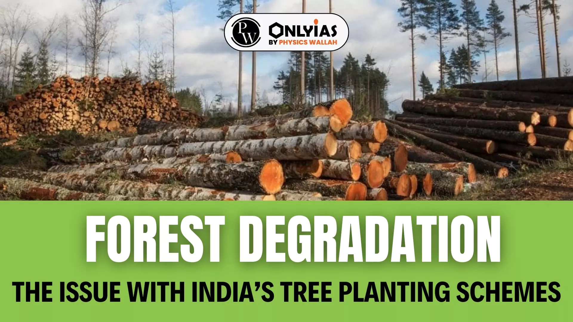 Forest Degradation, The Issue With India’s Tree Planting Schemes ...