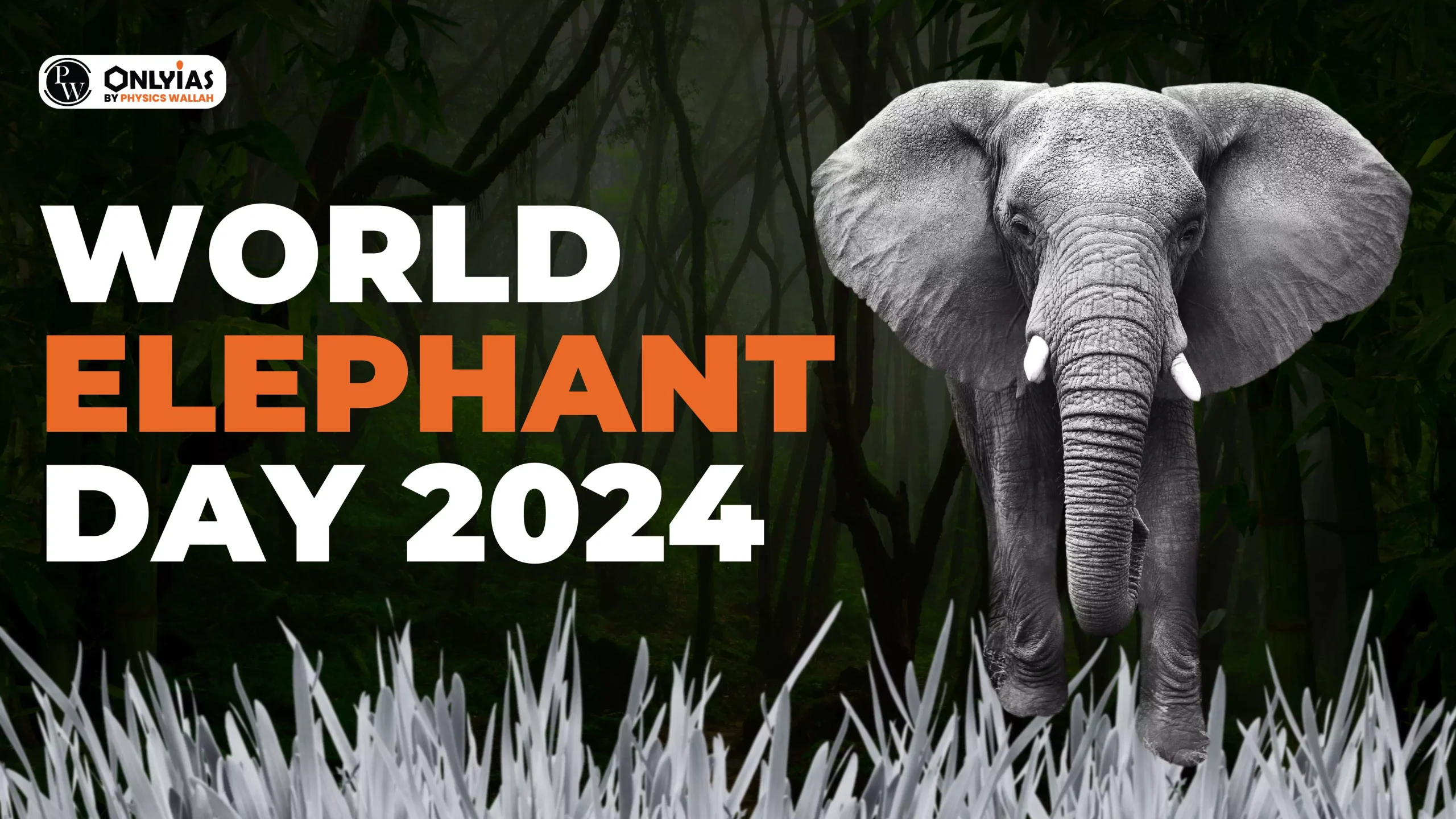 World Elephant Day