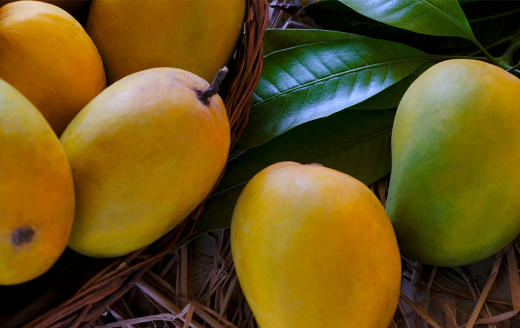 National Symbols Of India 2026: List Of 17 Symbols, Importance And ...