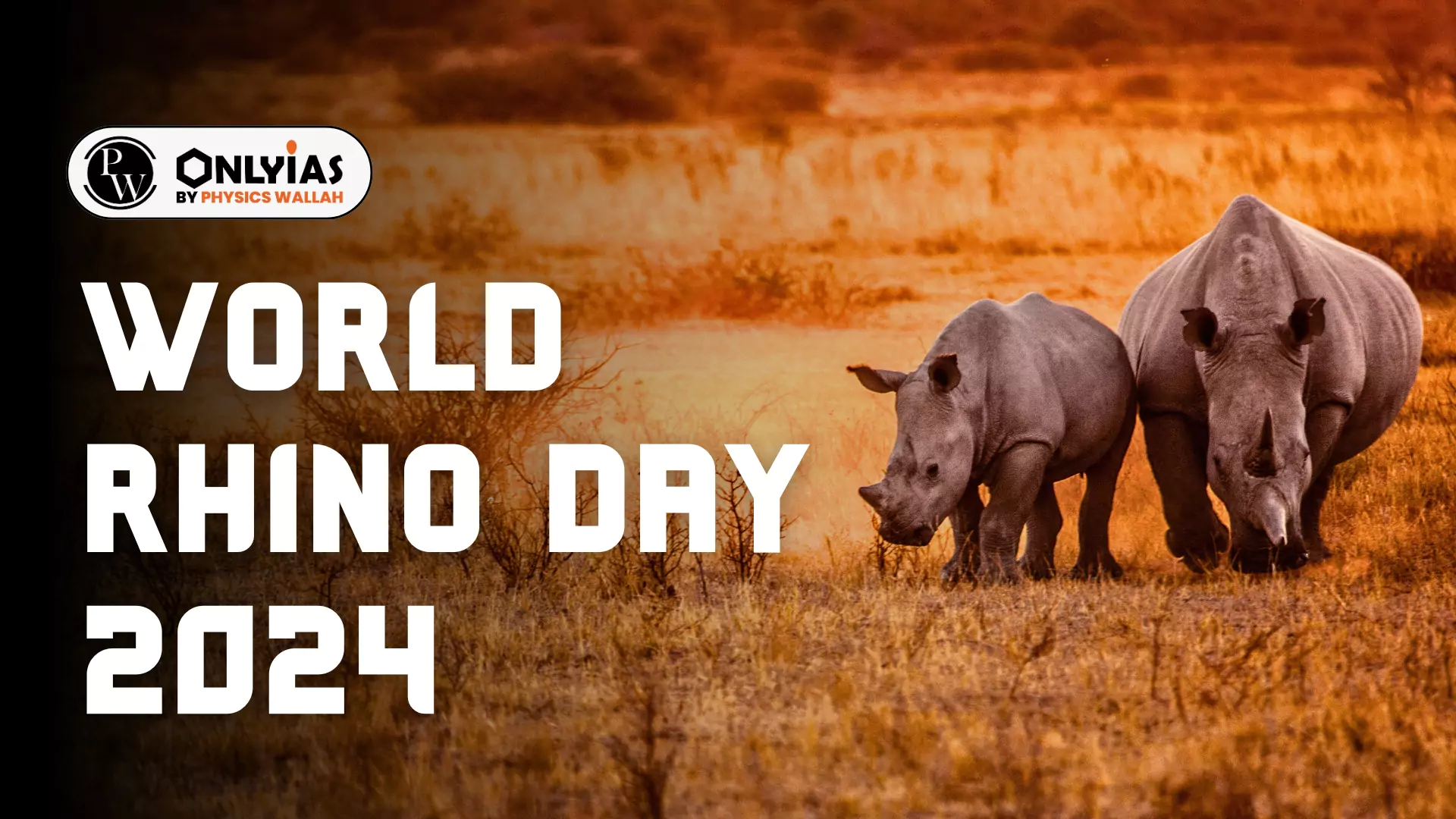 World Rhino Day 2024 Date, Population, & Importance - PWOnlyIAS
