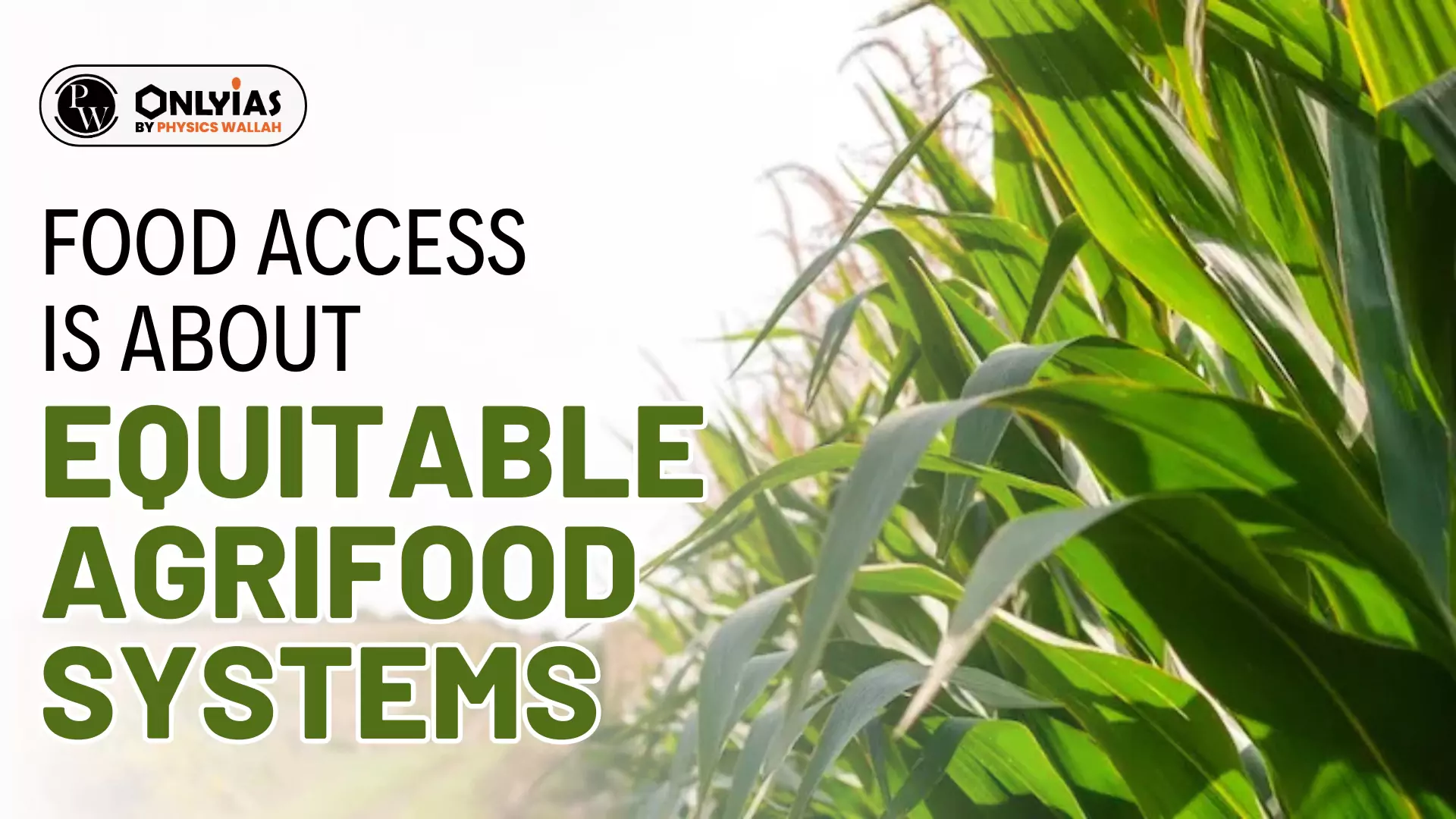 Food Access Is About Equitable Agrifood Systems - PWOnlyIAS