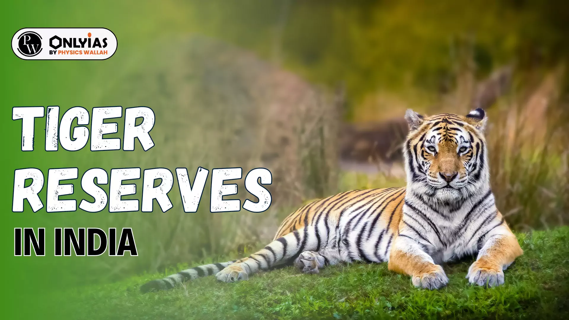 List Of Tiger Reserves In India 2025, Map, Tiger Conservation Schemes