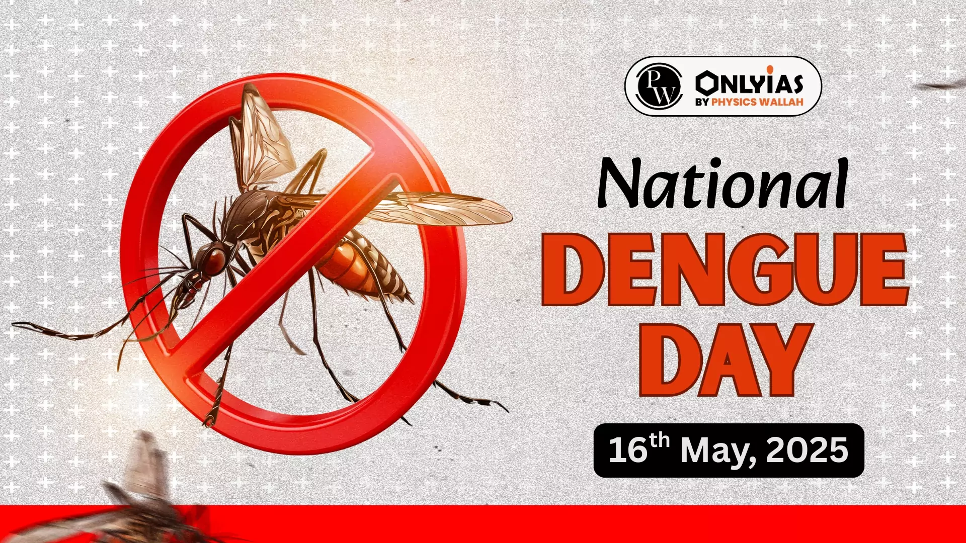 National Dengue Day 2025, Date, Theme, Dengue Fever, Cases In India, Programs