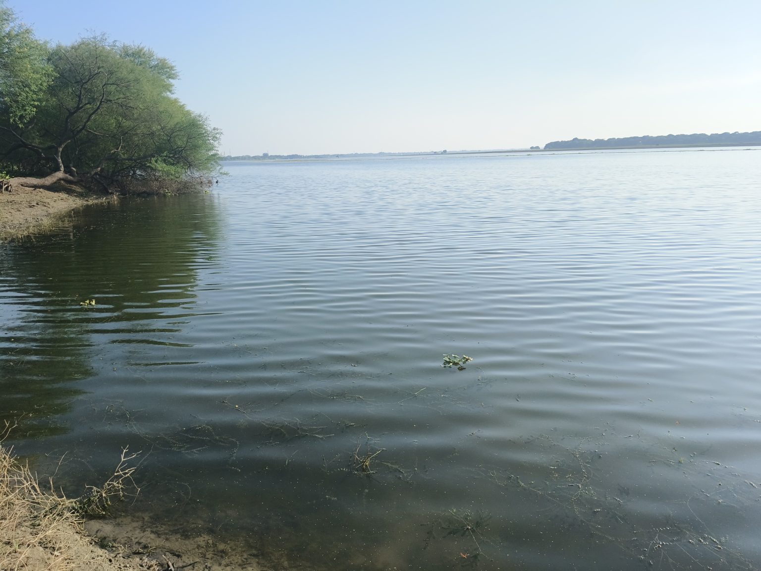 Ramsar Sites In India 2025: Newly Added Wetlands, Overview, New Ramsar ...